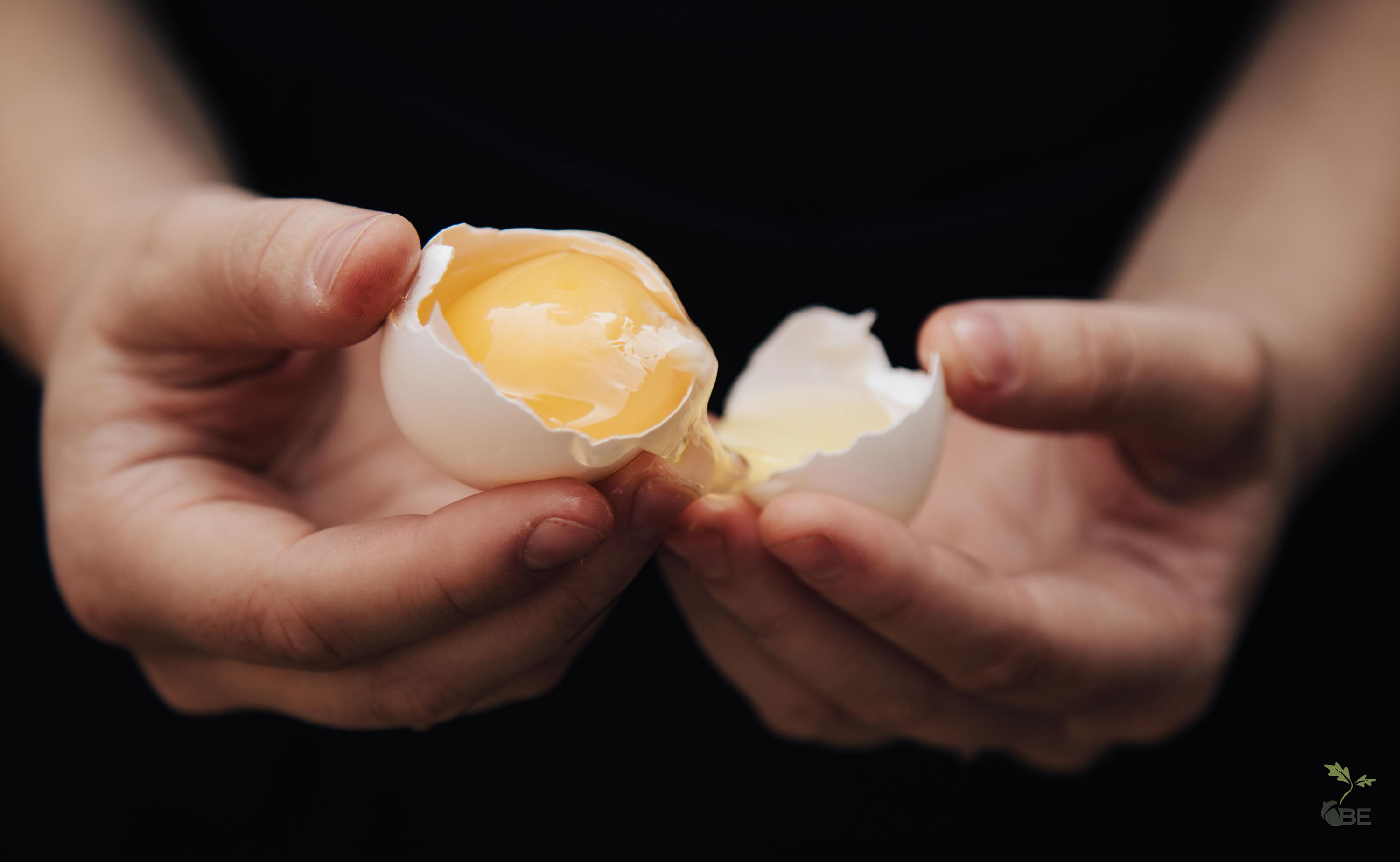 The Importance of Eggs – Be the Beautiful Life