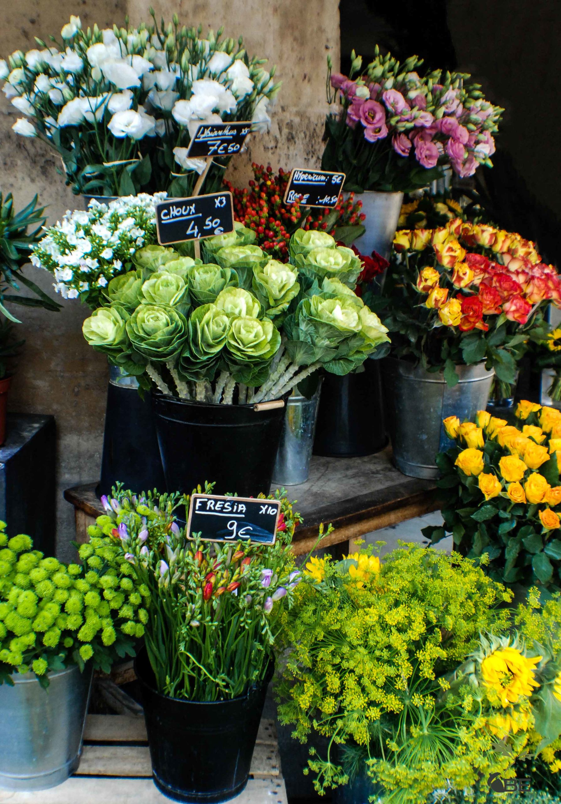 The Love Language of Flowers – Be the Beautiful Life