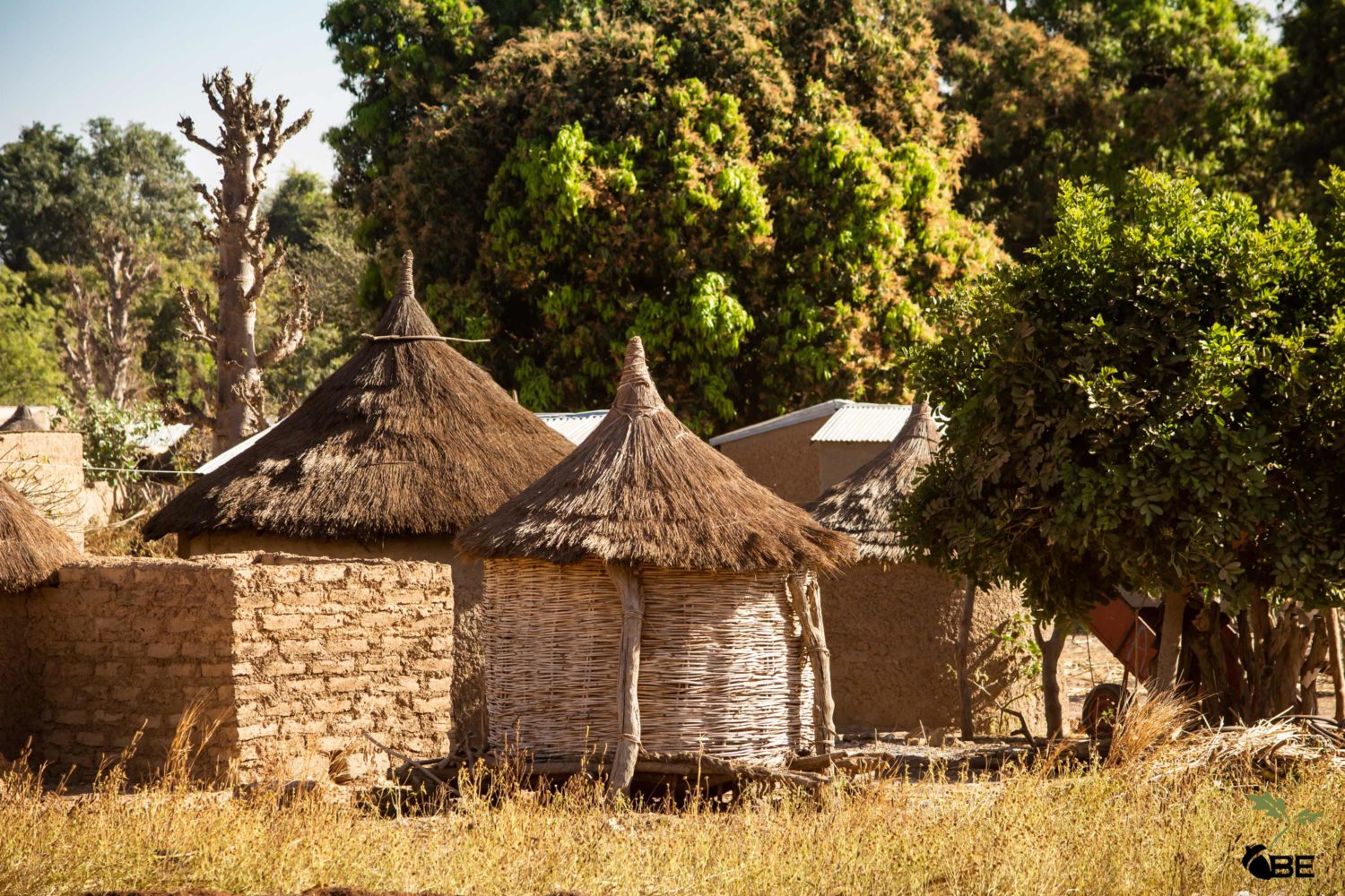 Understanding Community – BE the Beautiful Life