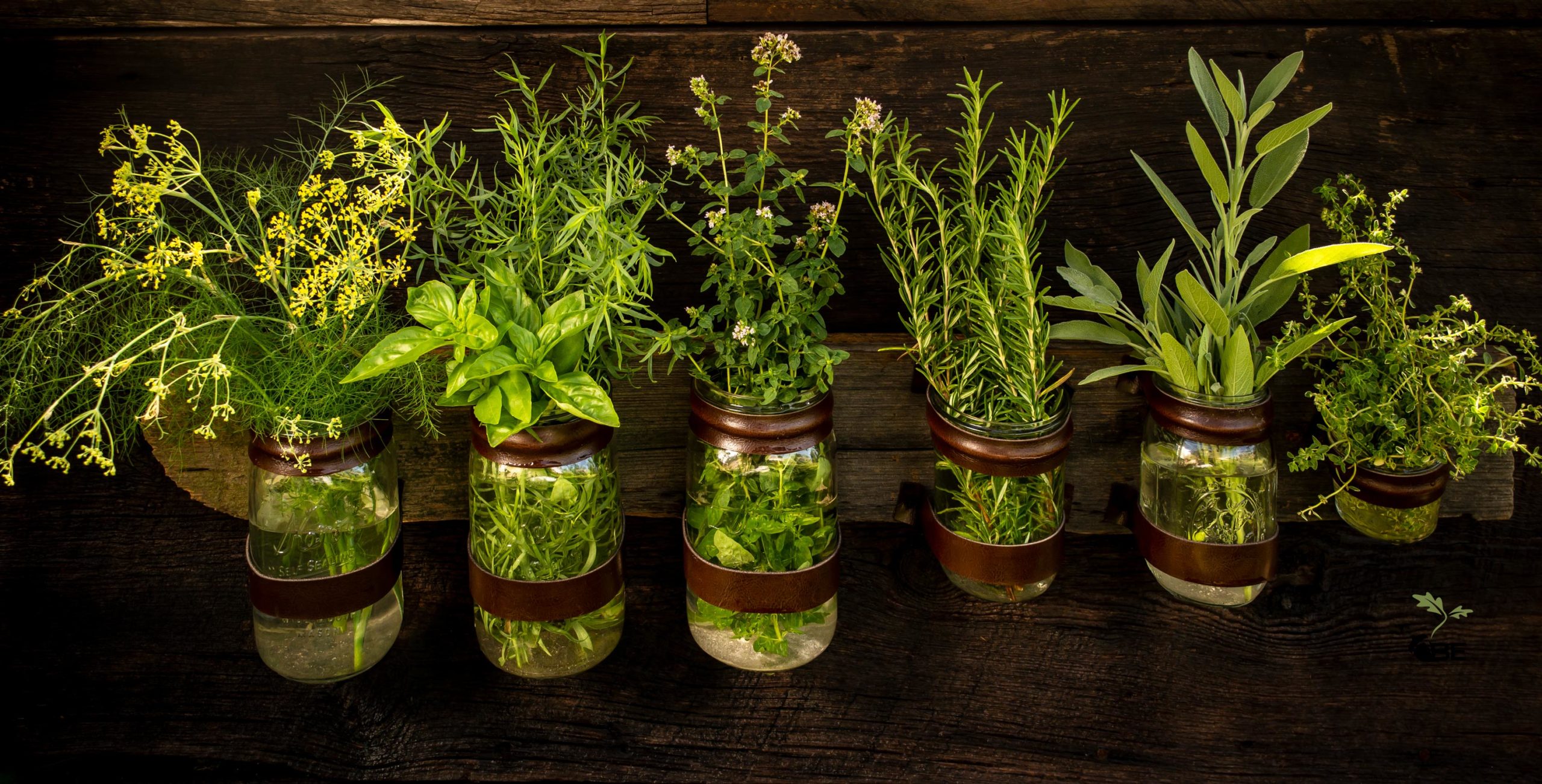 The Herb Garden – Be the Beautiful Life